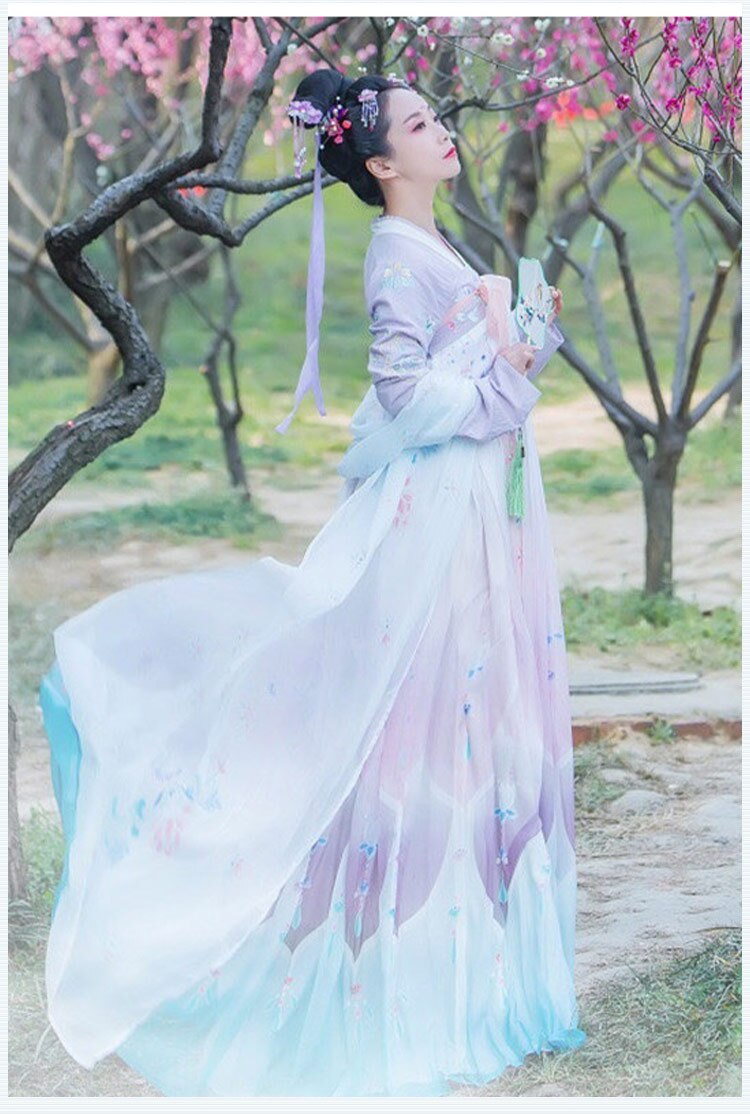 Tang Dynasty Ancient Costume Hanfu Dress Women Folk Dance Clothing Chi – Osherhome